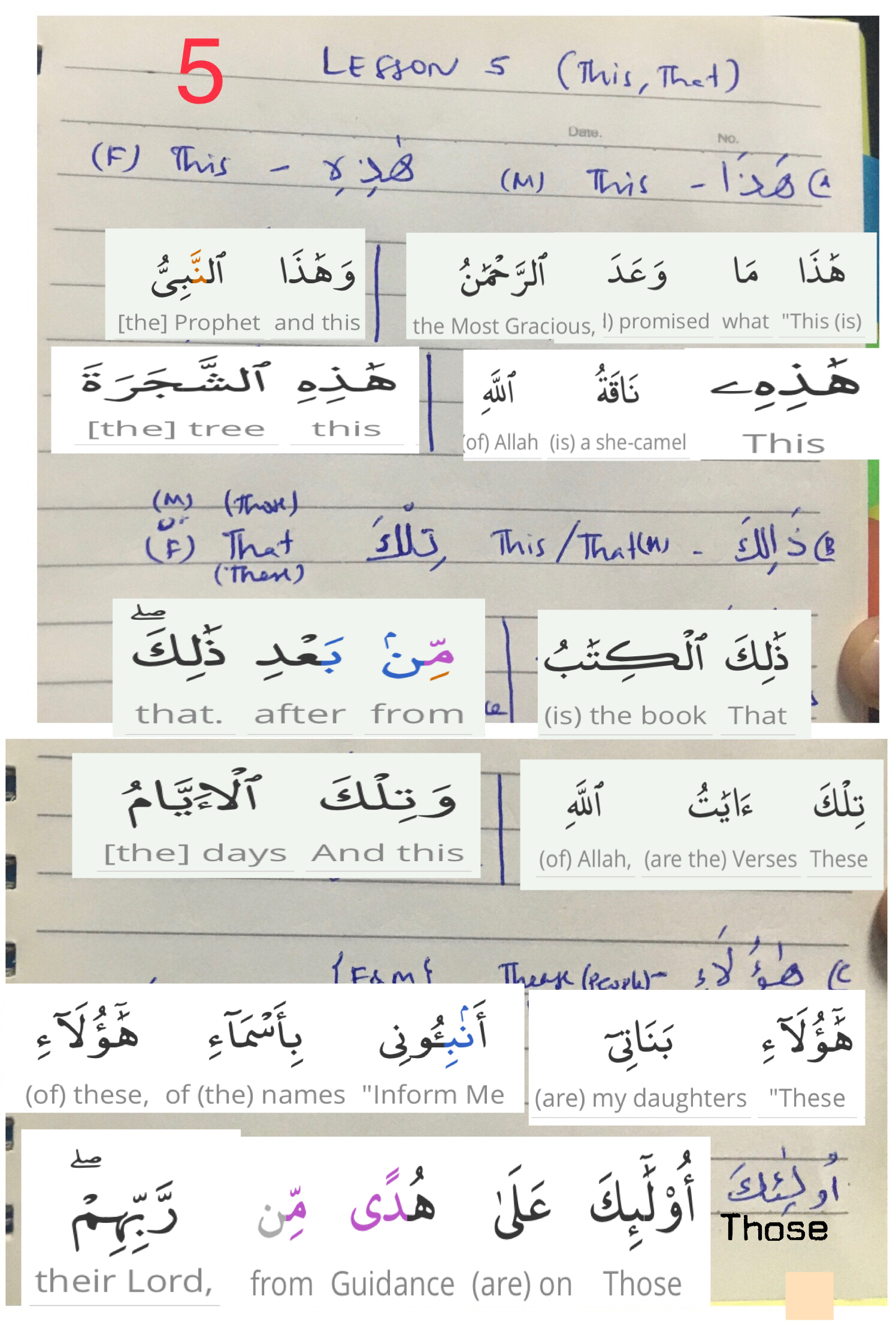 Quran Lessons – Books of Muslims